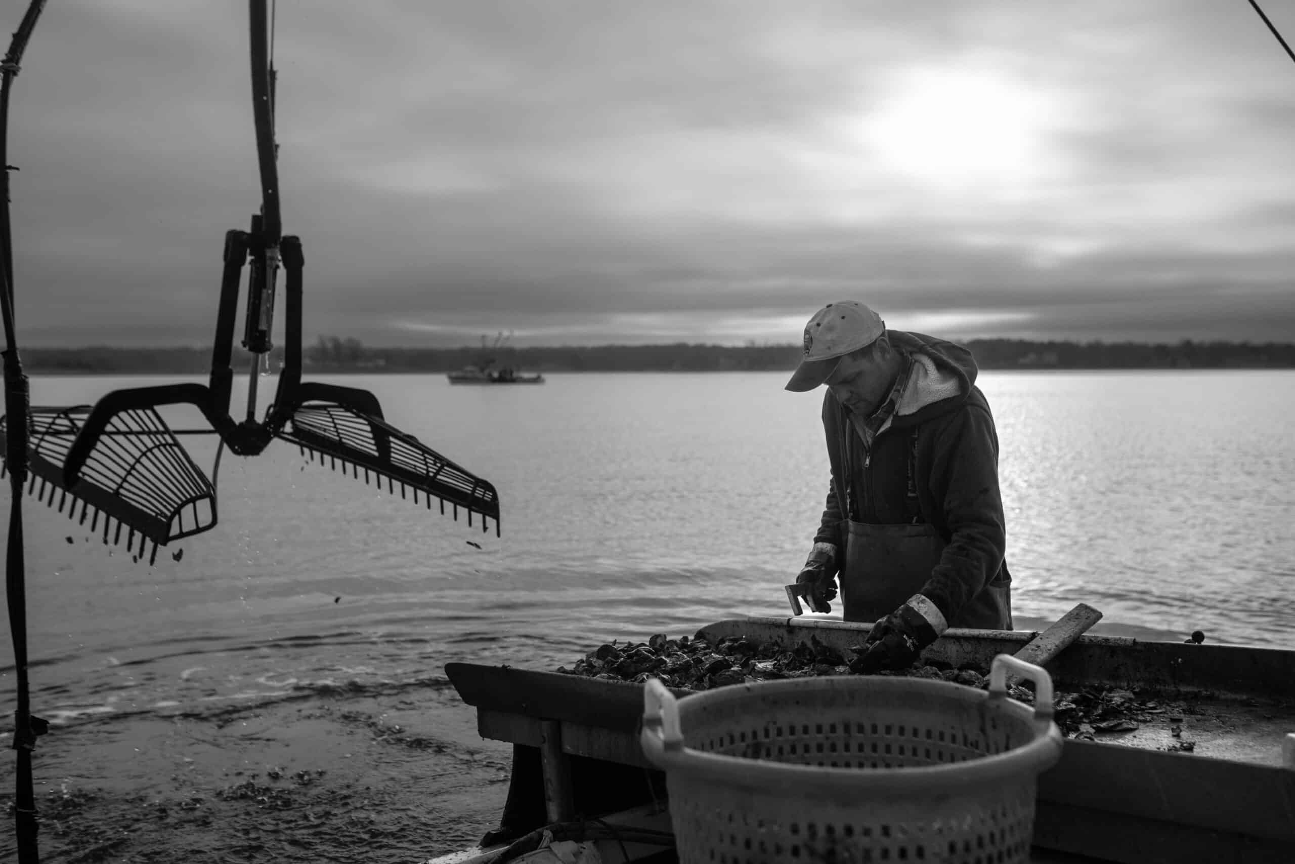 Fishmonger's Daughter